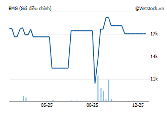 BMG: CTCP May Bình Minh - BMIG | VietstockFinance