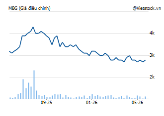 MBG: CTCP Tập đoàn MBG - MBG GROUP.,JSC | VietstockFinance
