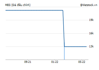 MEG: CTCP Megram - MEGRAM.,JSC | VietstockFinance
