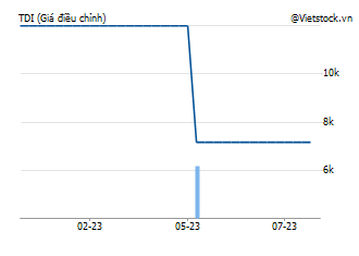 TDI: TDI Group Joint Stock Company - | VietstockFinance