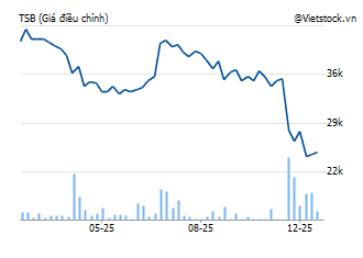 TSB: CTCP Ắc quy Tia Sáng - TIBACO | VietstockFinance